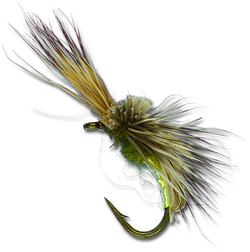 Screaming Banshee - Olive Clipart - Large Size Png Image - PikPng