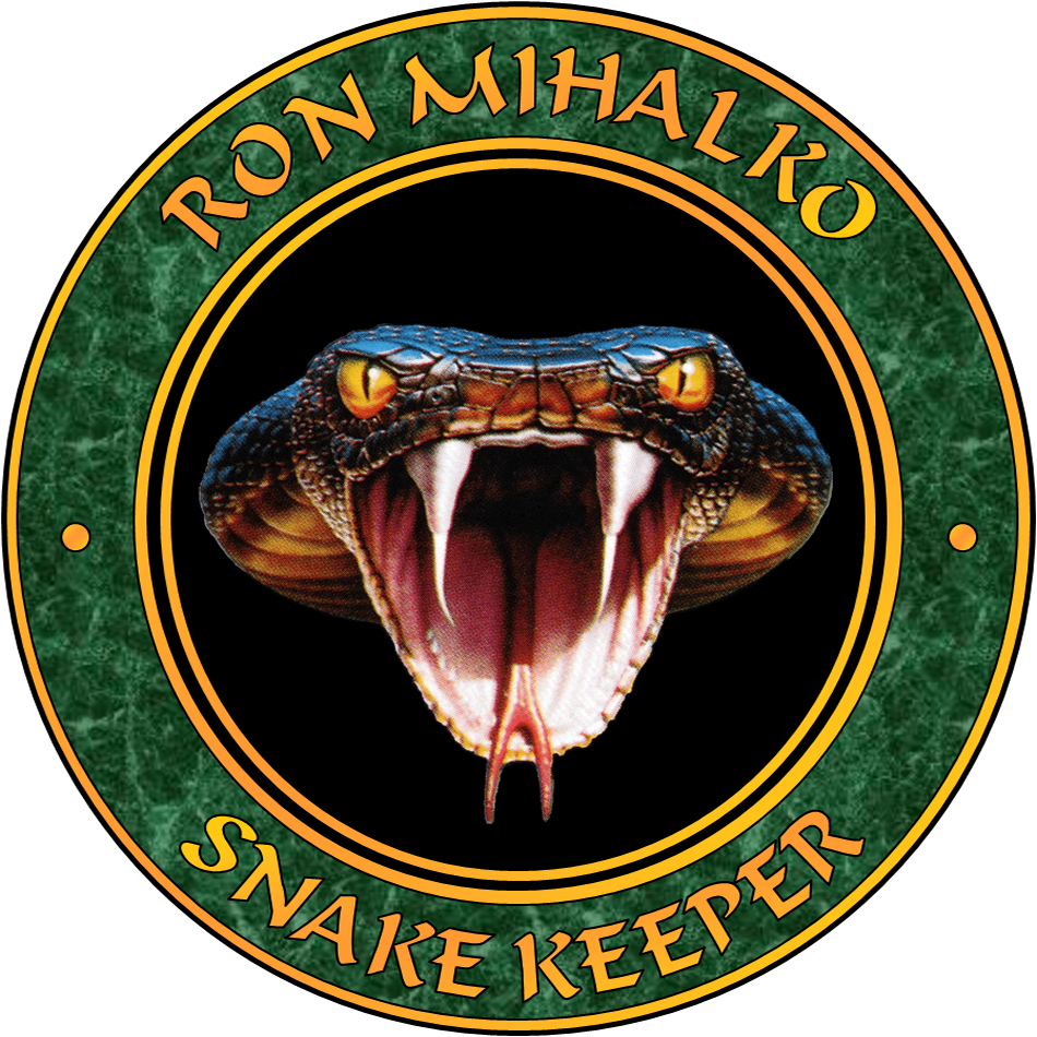 Download Python Logo Clipart Snacke - King Cobra - Png Download Png ...