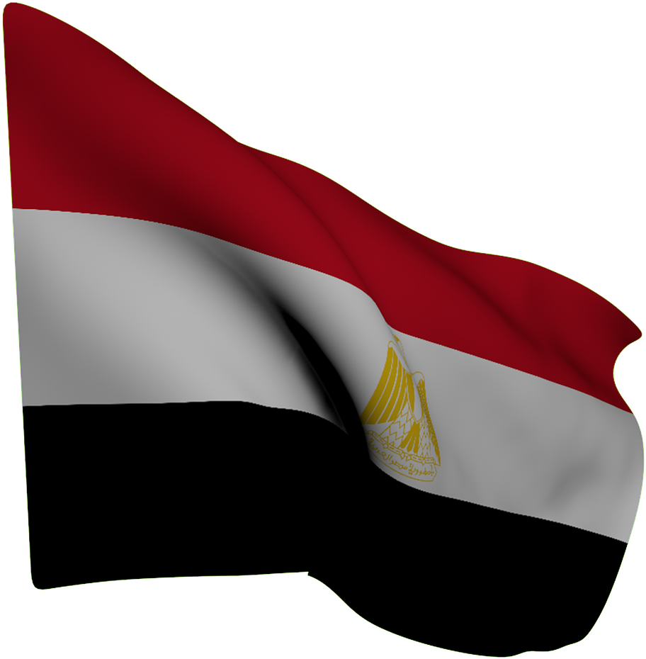 Electronic Travel Authorization To Enter Egypt - Steag Rosu Alb Negru ...