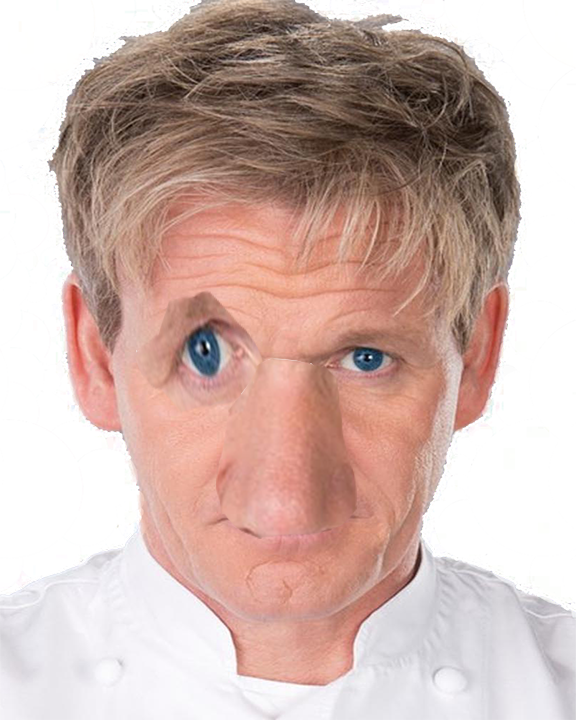 Download Yes It Is Gordon Ramsey And No I Did Not Finish It ...