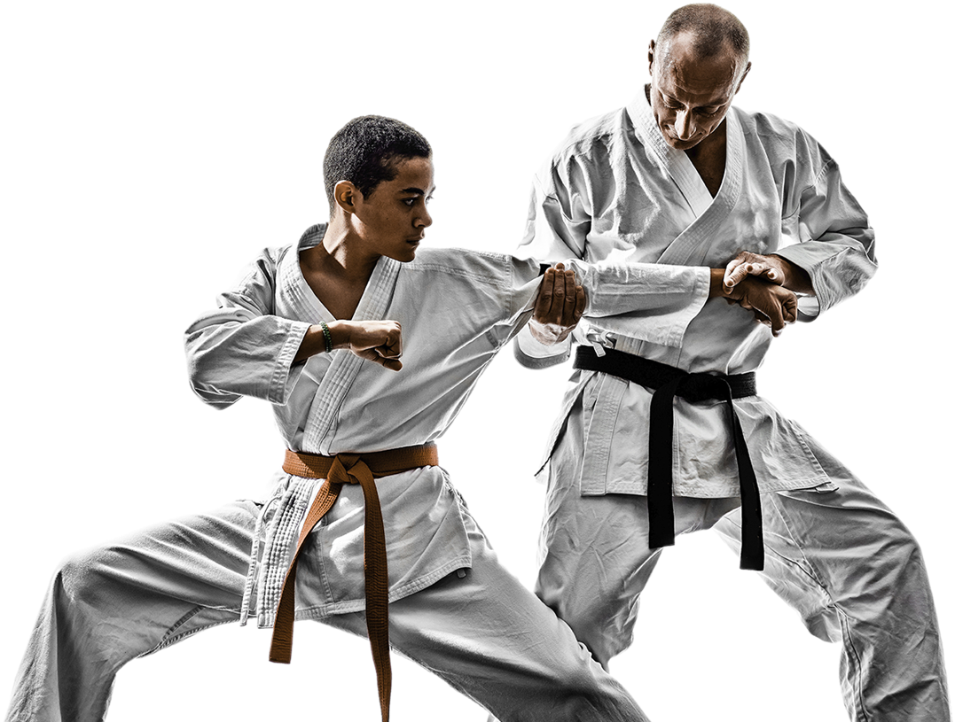 Mixed Martial Arts Fight Png Image Background - Karate Jiu Jitsu ...
