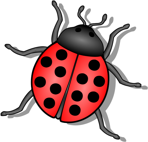 Bug Png Clipart - Large Size Png Image - PikPng