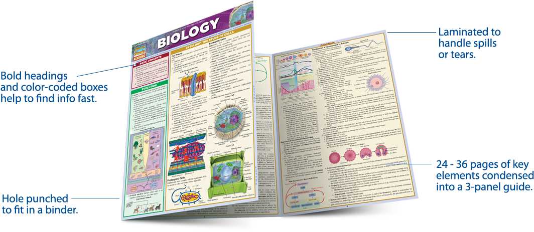 Study Guides - Biology Barcharts Clipart - Large Size Png Image - PikPng