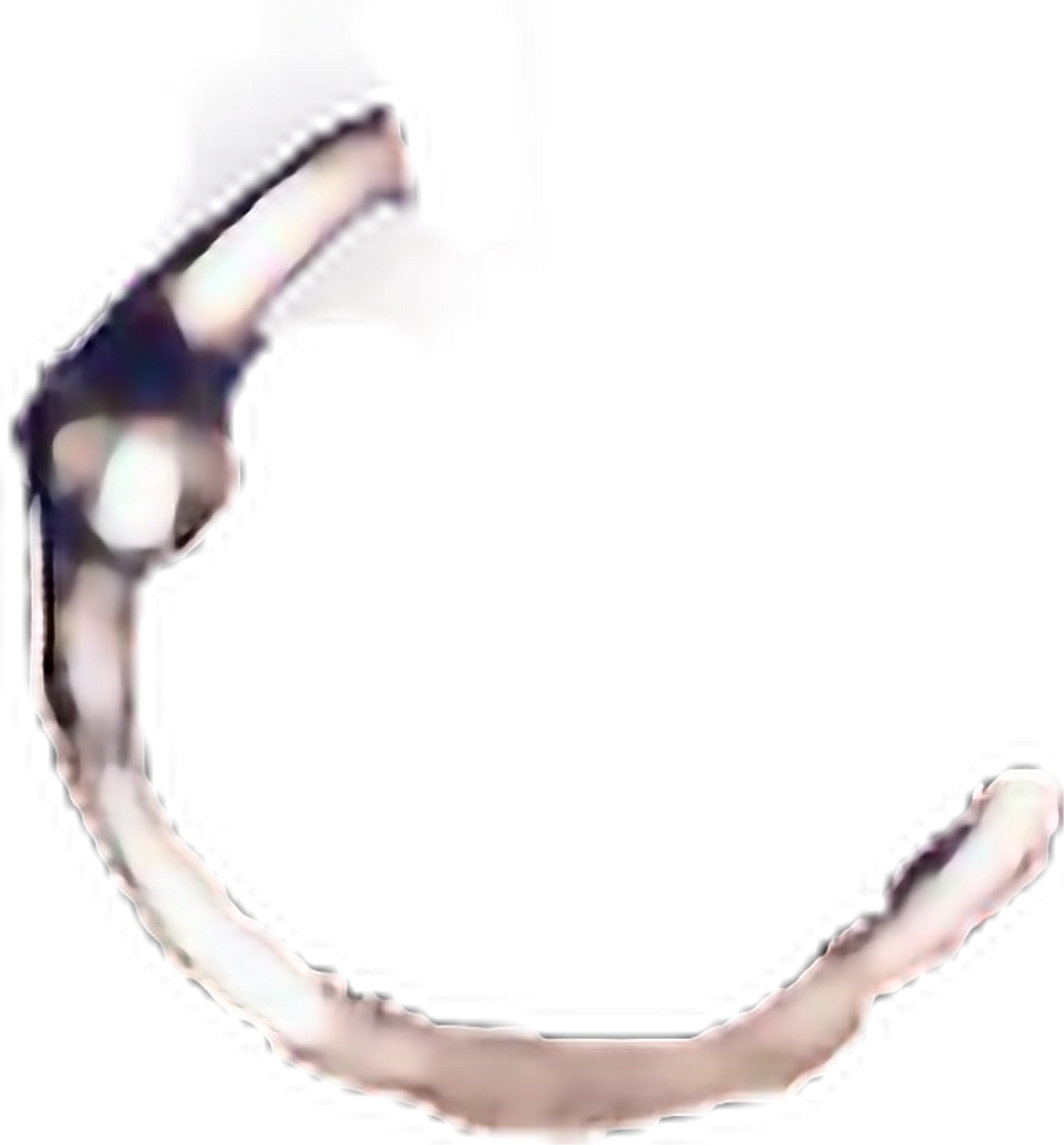 Flaless Sticker - Nose Ring Transparent Clipart - Large Size Png Image ...