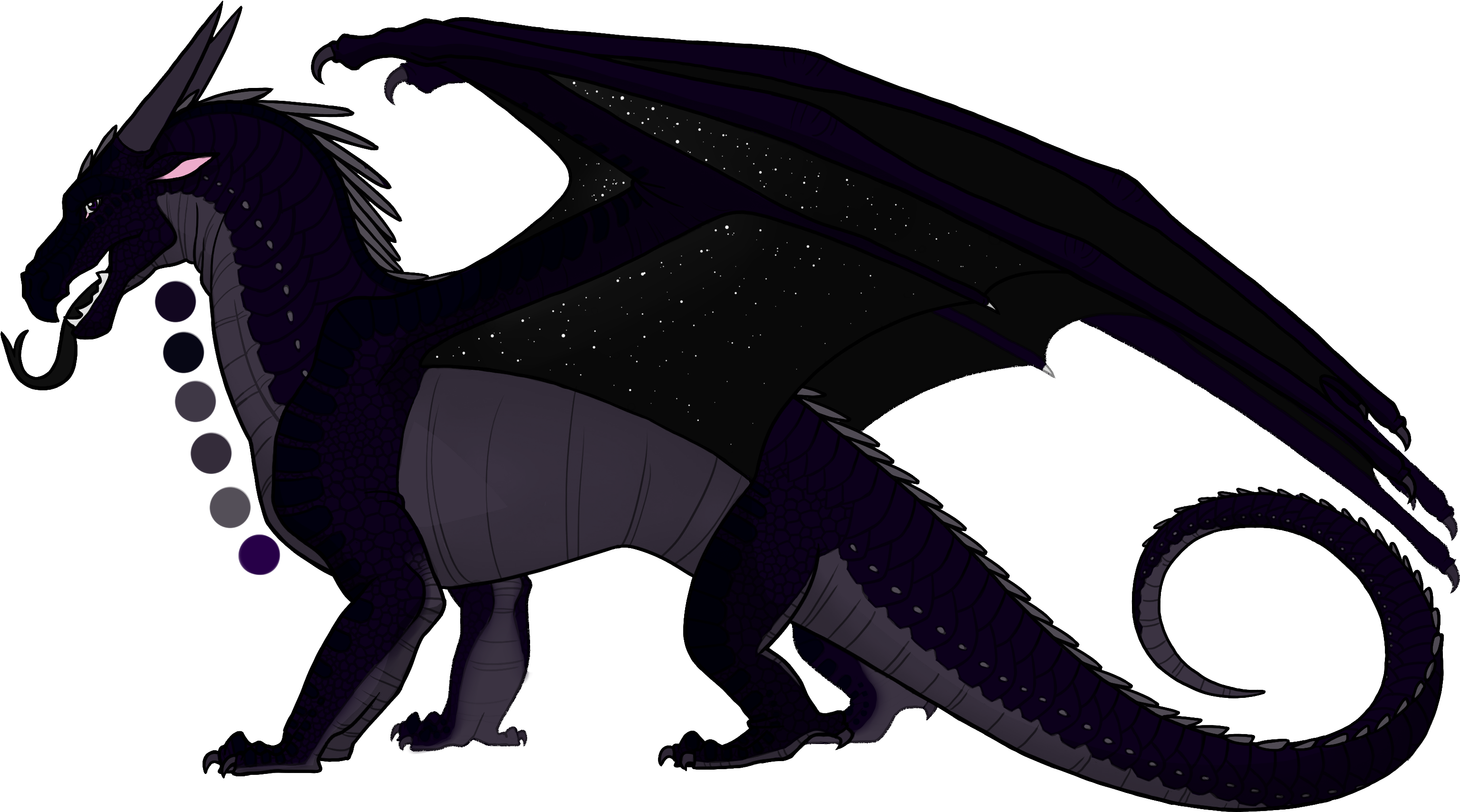 Clearsight Is A Female Nightwing With An - Nightwing From Wings Of Fire ...