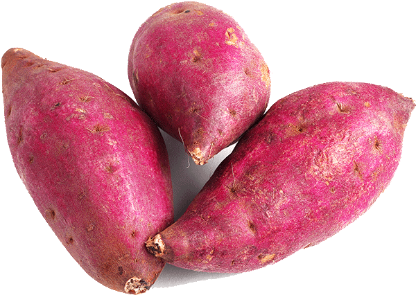 Purple Yam Clipart - Large Size Png Image - PikPng