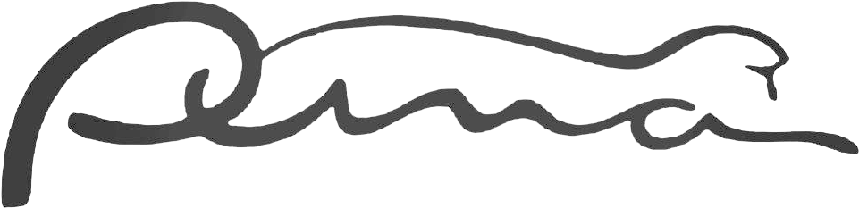 Ford Puma Sticker Clipart - Large Size Png Image - PikPng