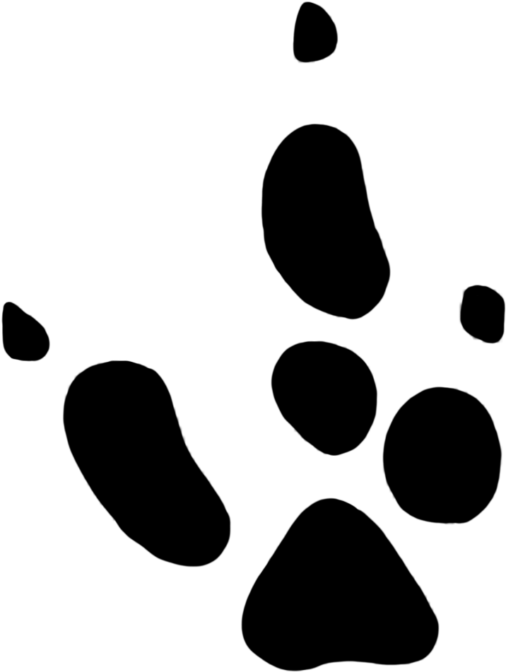 Kangaroo Tracks Clipart