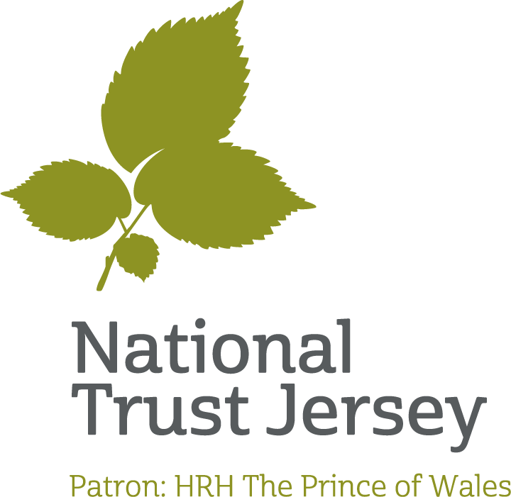 Ntj Logo Patron Clipart - Large Size Png Image - PikPng