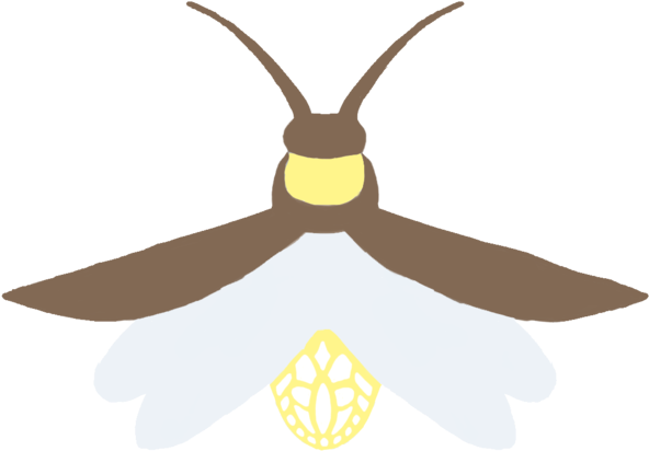 Firefly Transparent Background - Illustration Clipart - Large Size Png ...