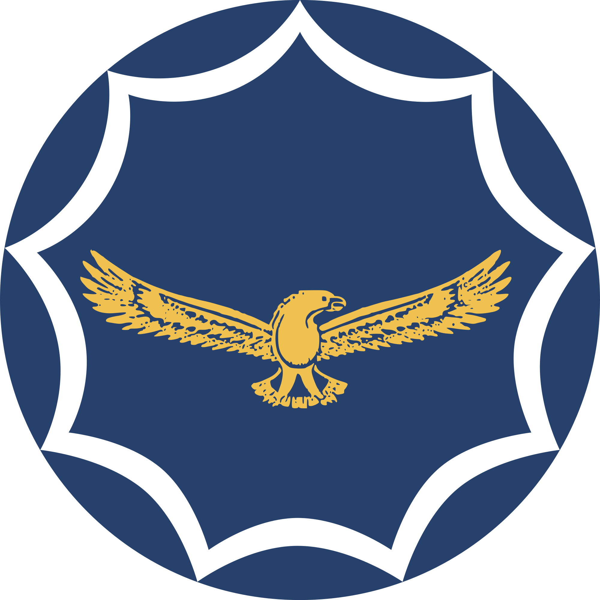 Sa Air Force Logo By Rafael Steuber Ii - South African Air Force Symbol ...