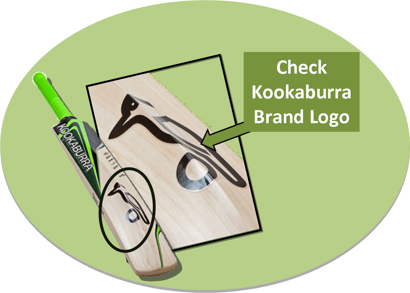 Kookaburra Cricket Bats - Fake Kookaburra Cricket Bat Clipart - Large ...