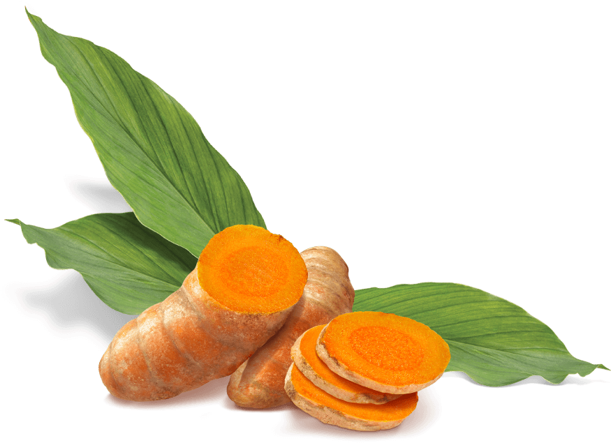Turmeric - Turmeric Png Clipart - Large Size Png Image - PikPng