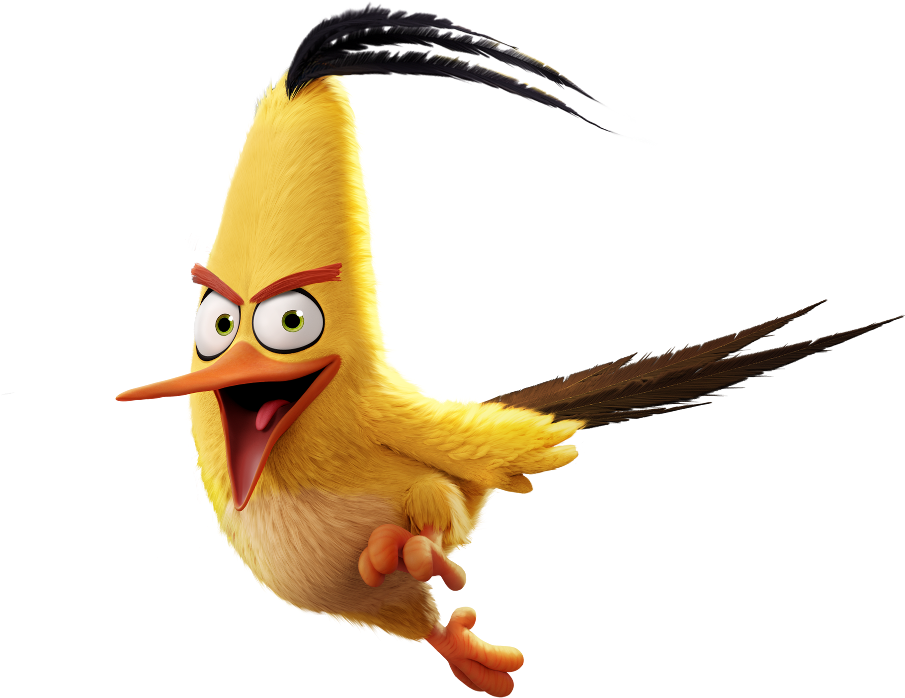 Angry Birds Action - Cartoon Clipart - Large Size Png Image - PikPng