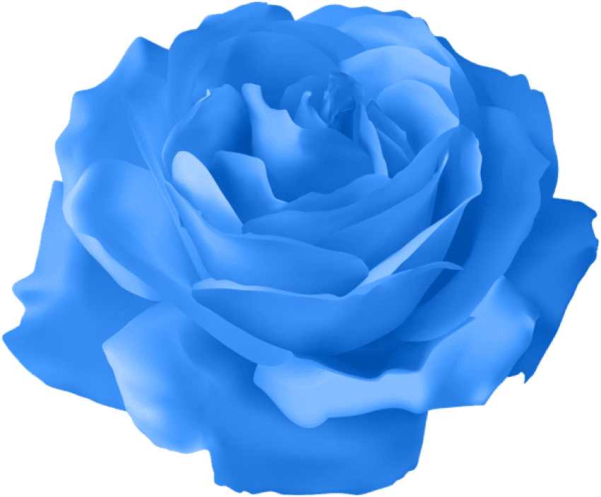 Free Png Download Blue Rose Transparent Png Images Clipart - Large Size ...