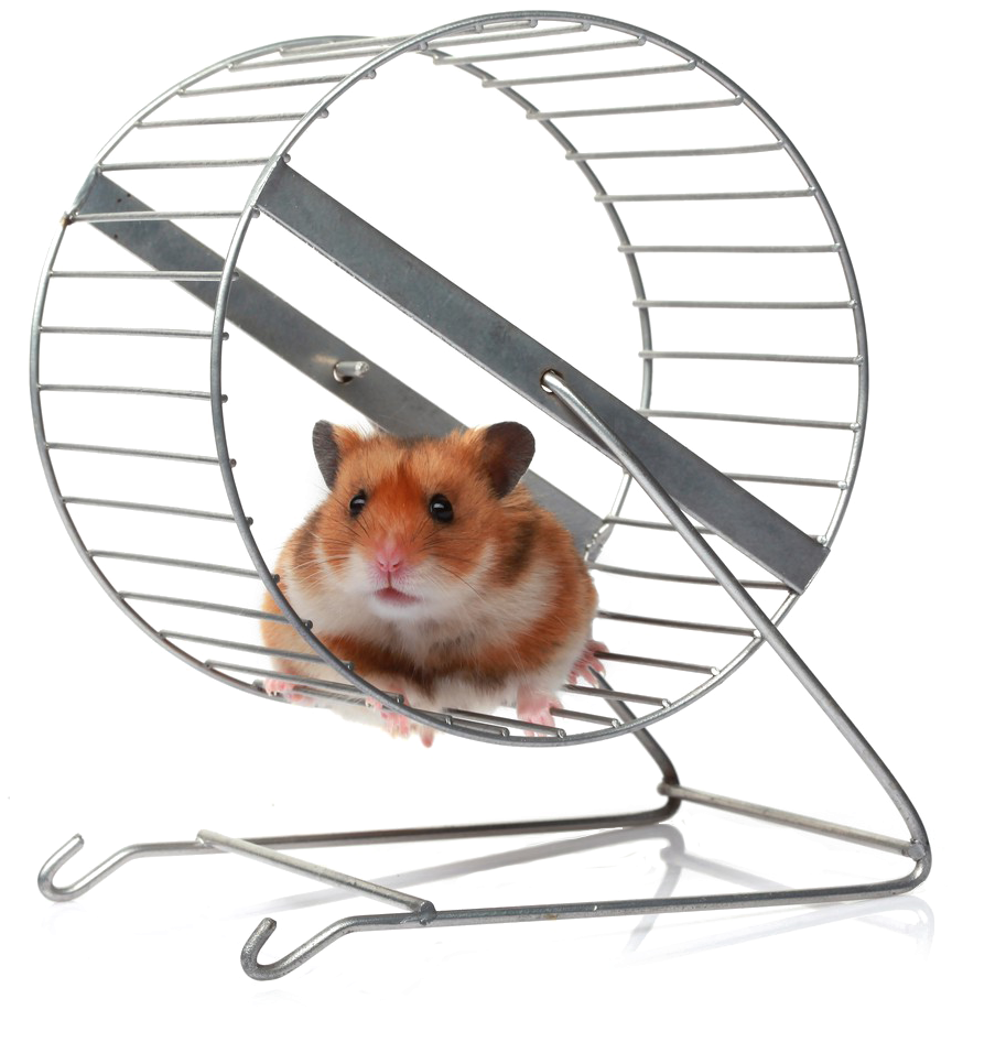 Transparent Hamster Wheel Png Clipart - Large Size Png Image - PikPng