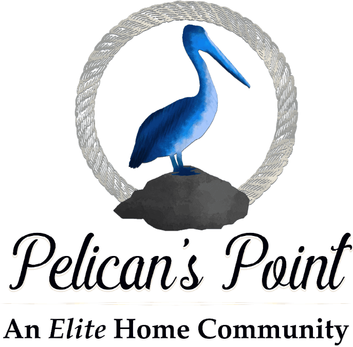 Pelican's Point - Pelican Clipart - Large Size Png Image - PikPng