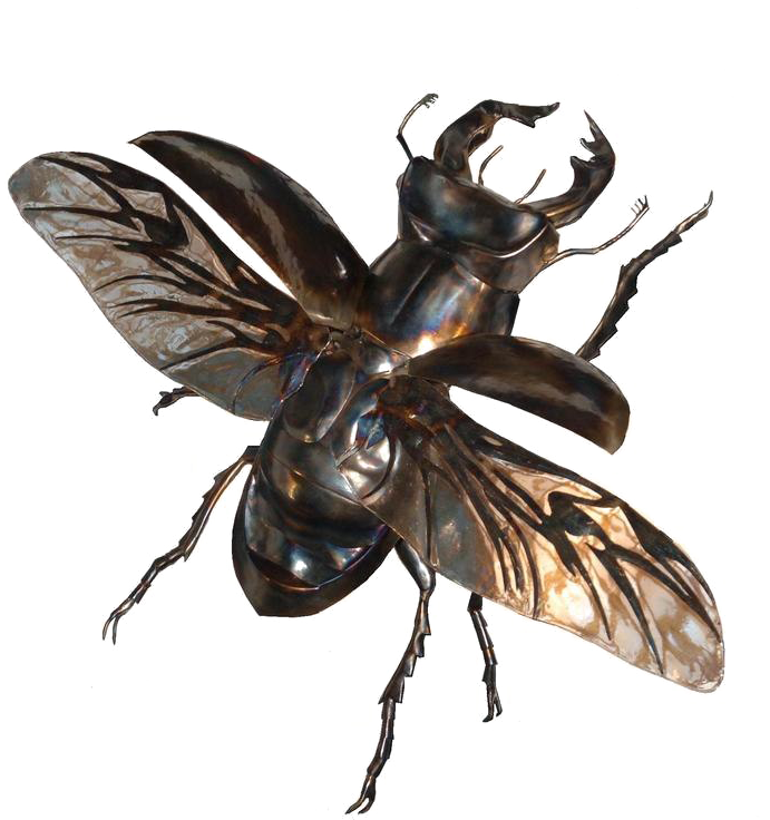 Download Flying Bug Png - Stag Beetle In Flight Clipart Png Download ...