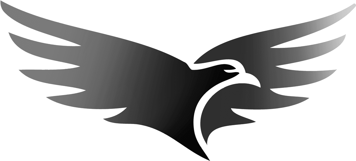 Hawks Logo Png Png Shorter Hawkins Hawks Logo - Hawk Logo Png Clipart ...