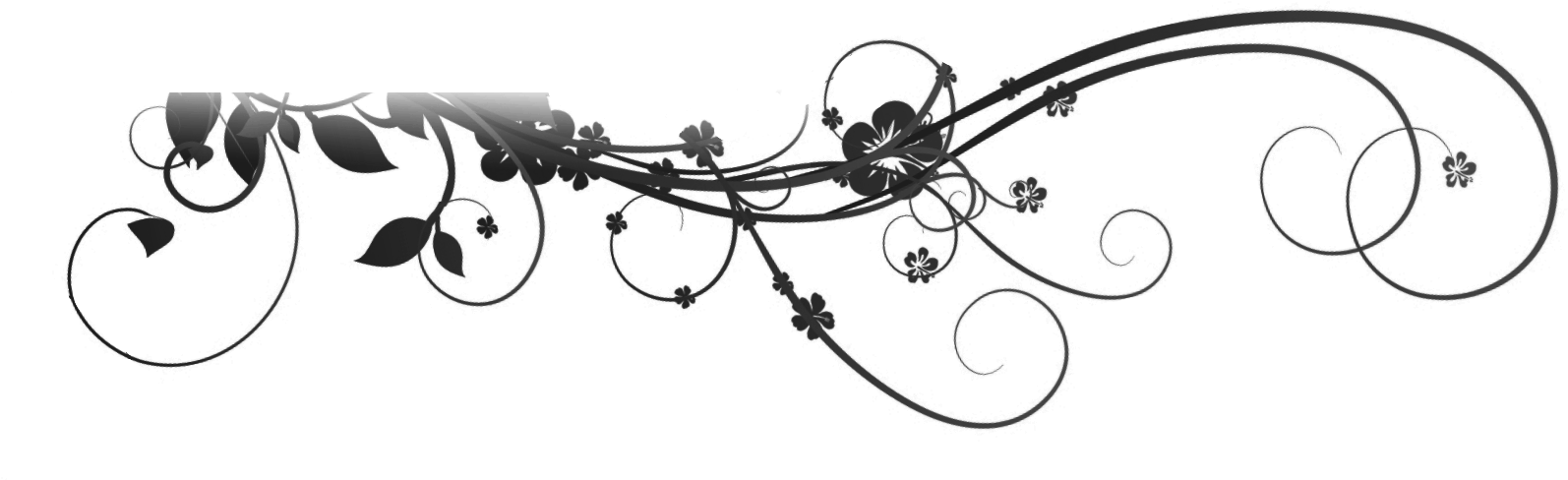 Download Page Dividers Png - Fancy Page Divider Png Clipart Png ...