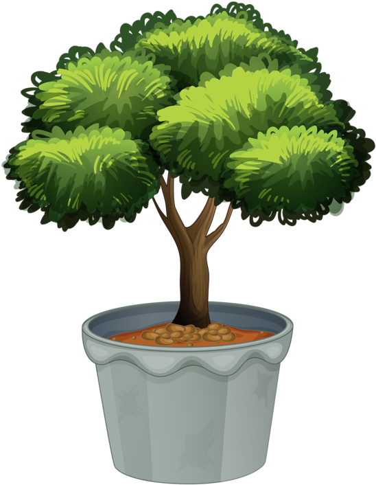 Png Library Stock Potted Plants Clipart - Tree In A Pot Clipart ...