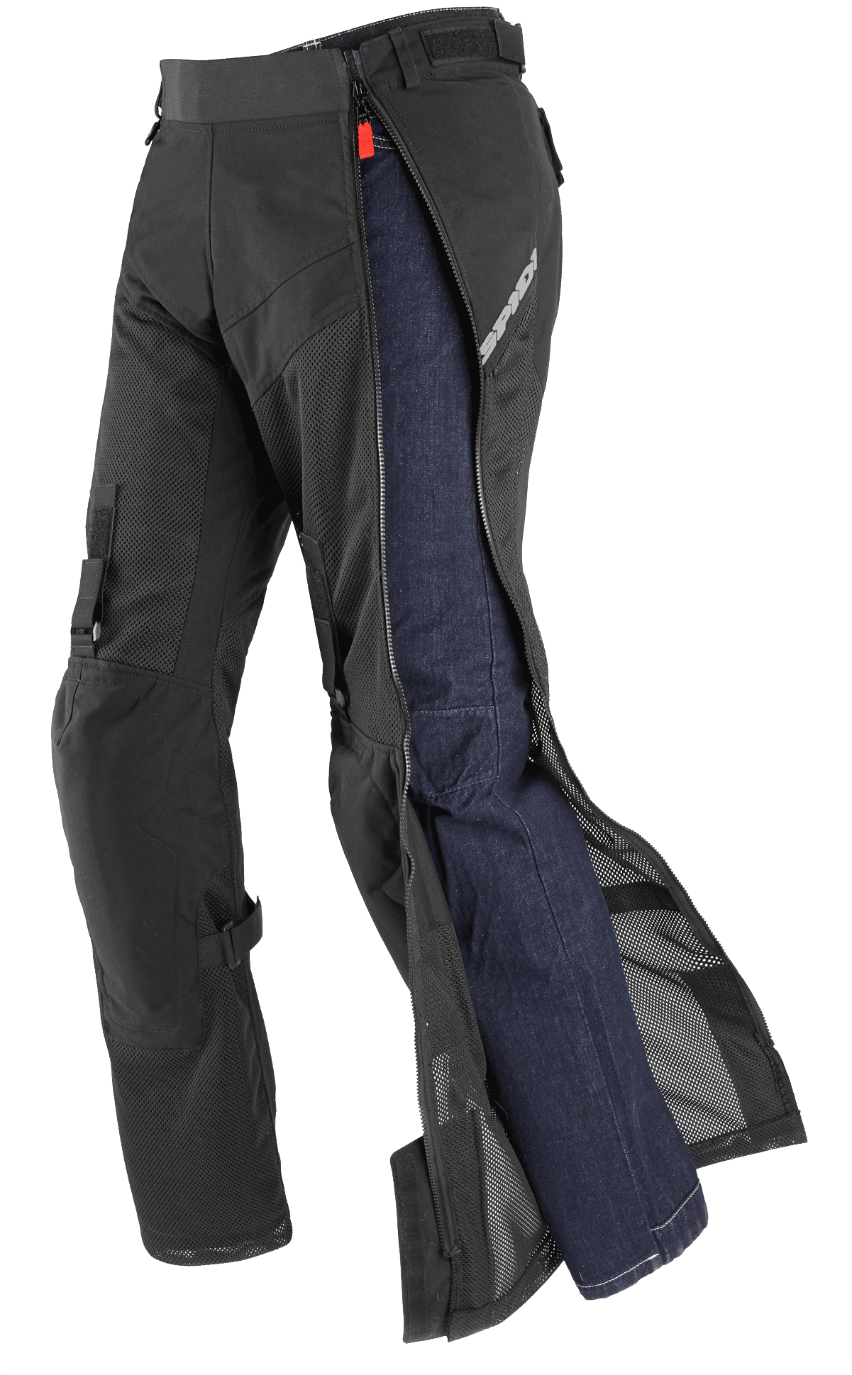 Cod - - Pocket Clipart - Large Size Png Image - PikPng