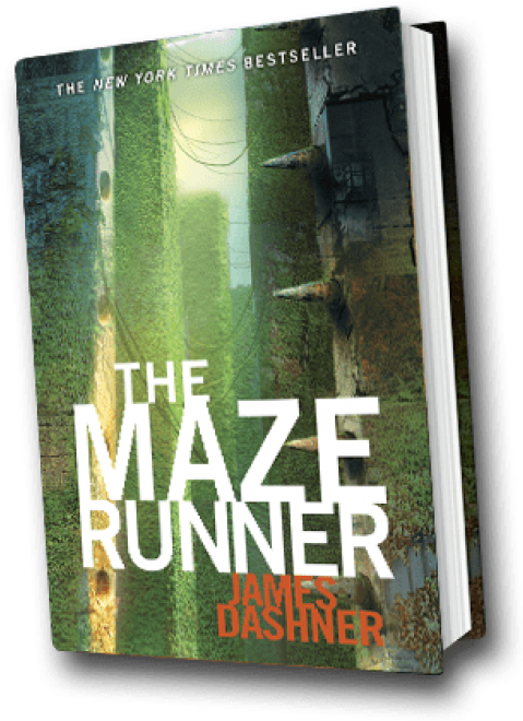 Download Free Png Download Maze Runner Png Images Background - Maze ...