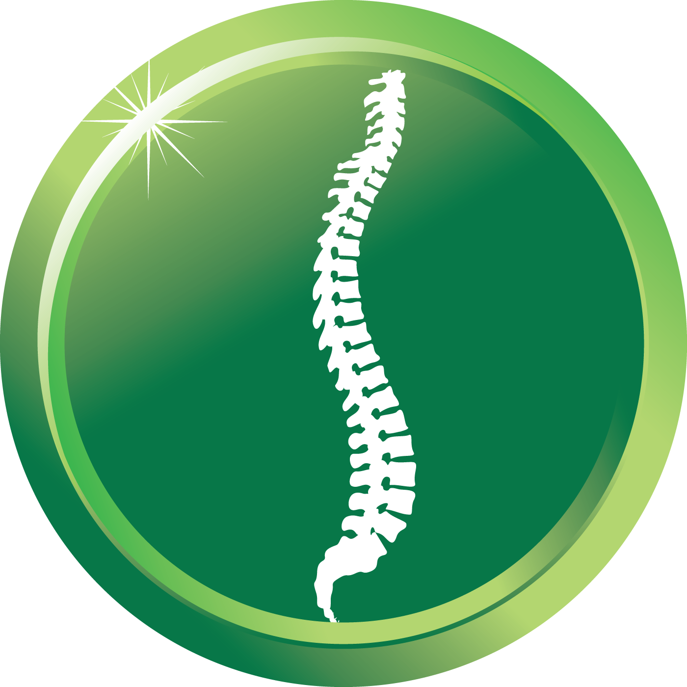 Chiropractic Spine Png - Spine Health Clipart - Large Size Png Image ...