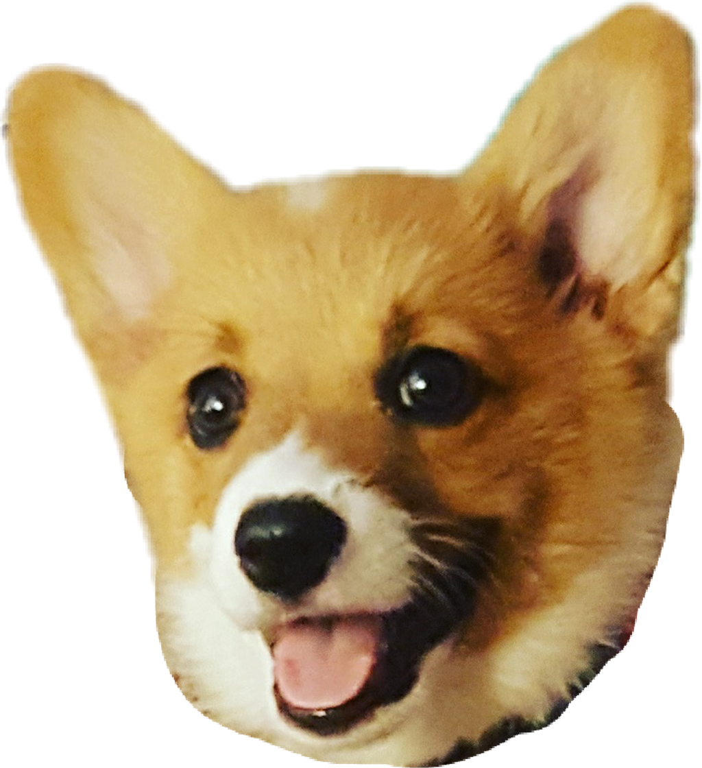 Corgi Sticker - Pembroke Welsh Corgi Clipart - Large Size Png Image ...