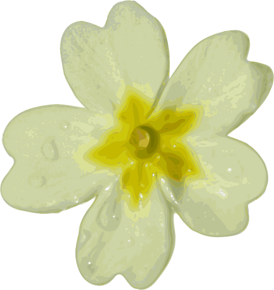 White Flower Png Clipart - Large Size Png Image - PikPng