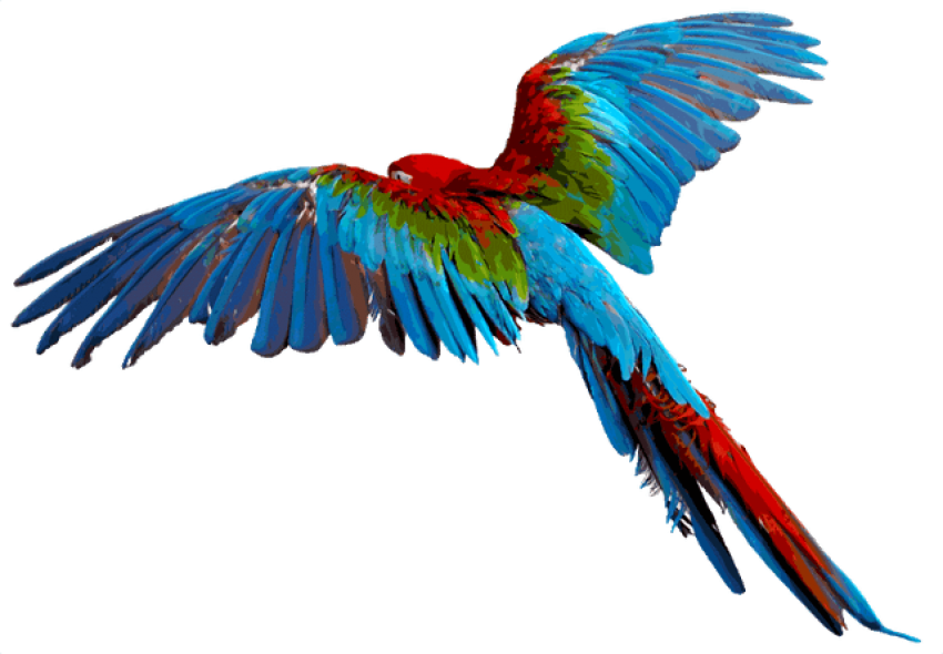 Free Png Download Parrot Transparent Background Png - Parrot ...