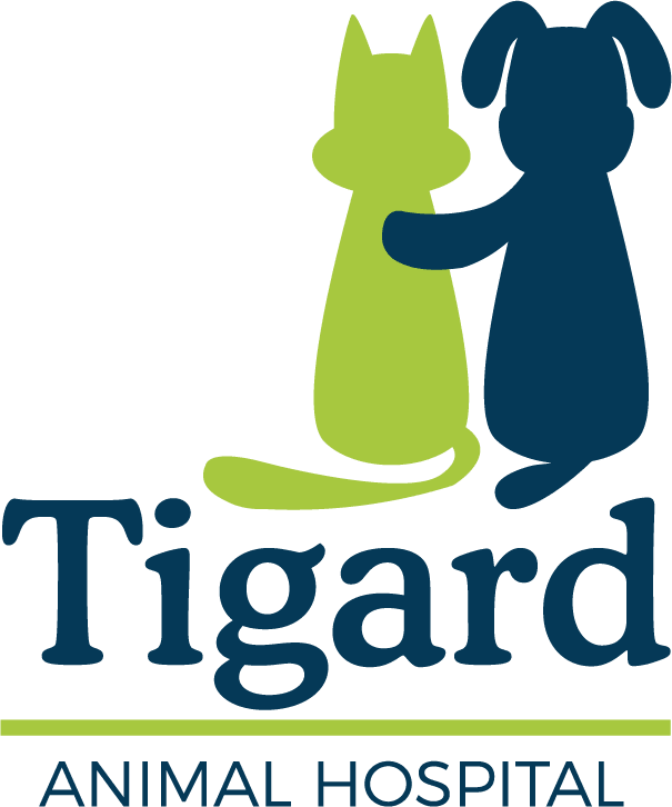 Tigard Animal Hospital - Cartoon Clipart - Large Size Png Image - PikPng