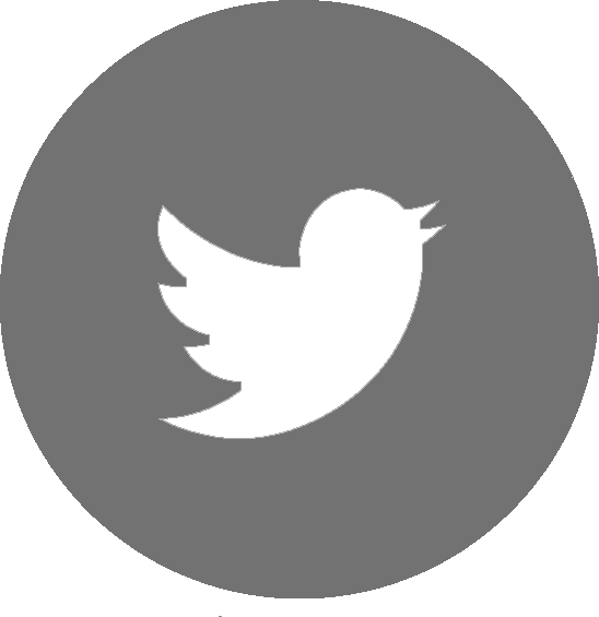 Twitter - Blue Twitter Icon Png Clipart - Large Size Png Image - PikPng