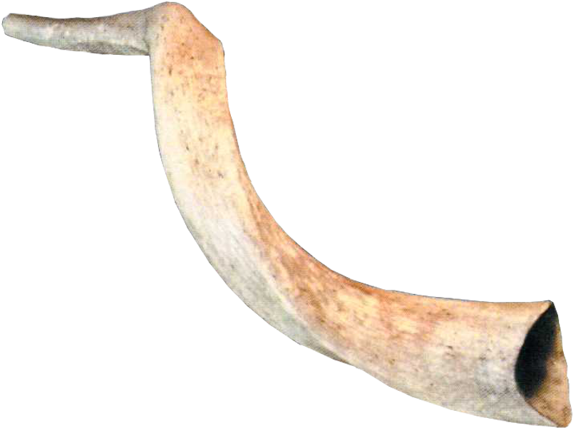 834 X 898 6 - Horn Trumpet Png Clipart - Large Size Png Image - PikPng