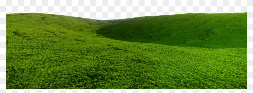 Grass Field Png Clipart (#16724) - PikPng
