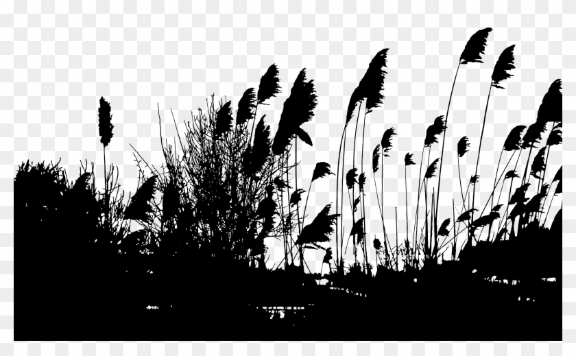 2400 X 1371 31 - Reeds Silhouette Png Clipart (#19233) - PikPng
