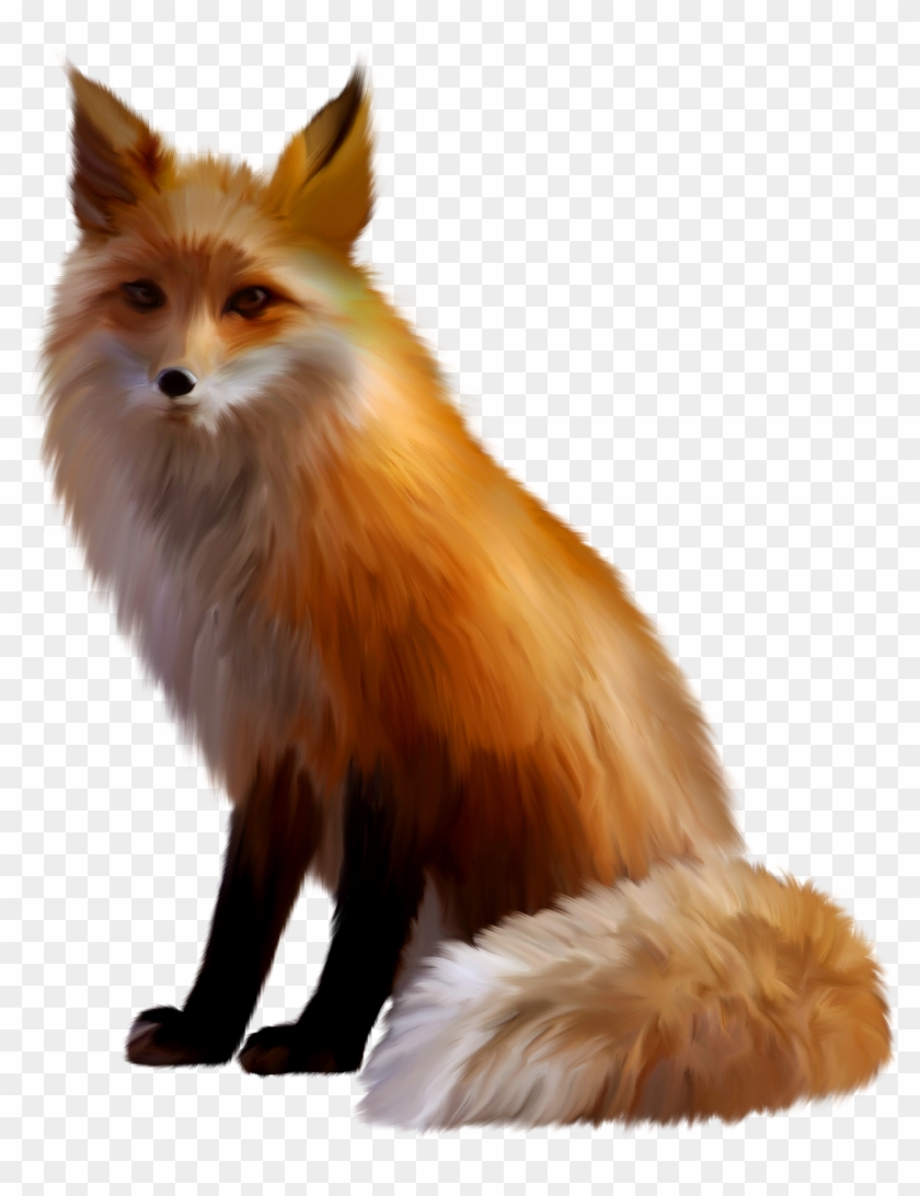 Red Fox Png Photo - Picsart All Hd Png Download Clipart (#1020441) - PikPng