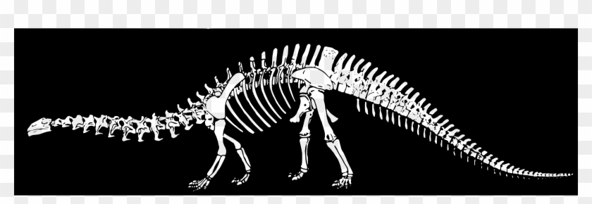 This Free Icons Png Design Of Dinosaur Bones Clipart (#1044107) - PikPng