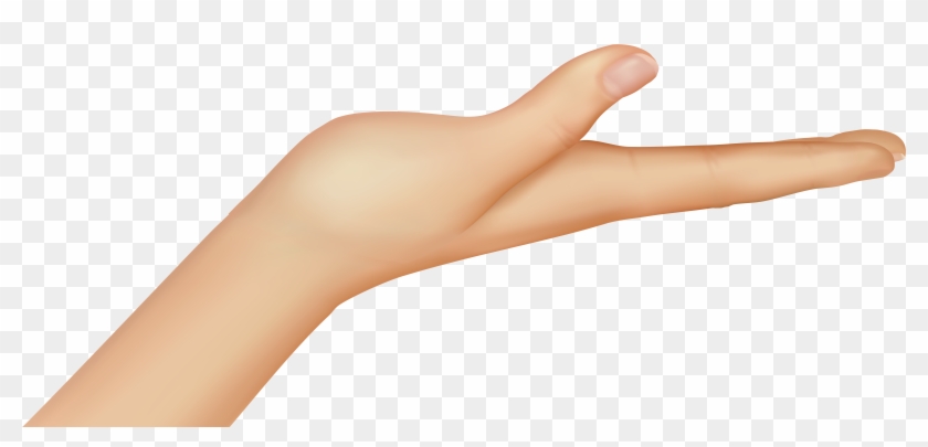 Palm Flat Of Hand Png Clip Art - Flat Hand Png Transparent Png (#117635 ...