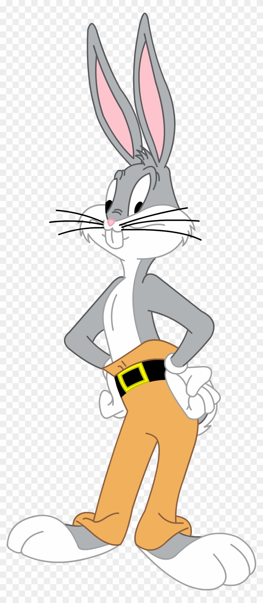 Download Bugs Bunny Png - Warner Bunnies Clipart Png Download - PikPng