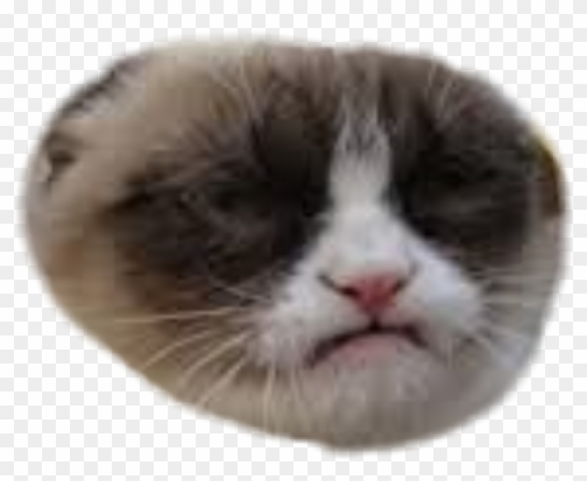 Download Memes Sticker - Oh Whoopty Freakin Do Clipart Png Download ...