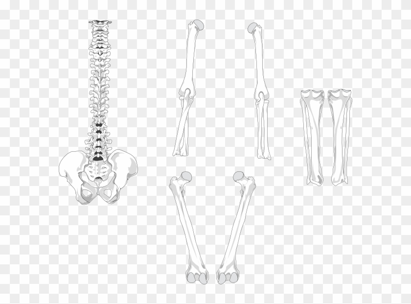 Small - Skull Clipart (#1283111) - PikPng