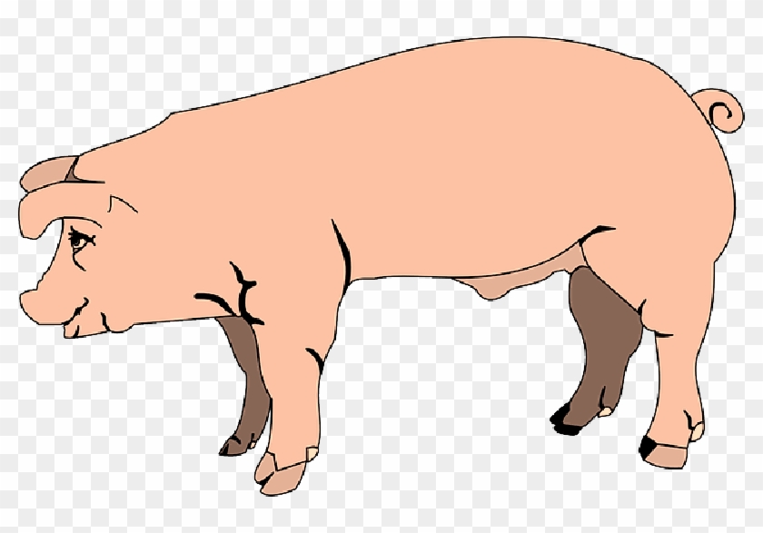 Download Barn, Farm, Pink, Pig, Side, Animal, Mud, - Cartoon Pig Side ...