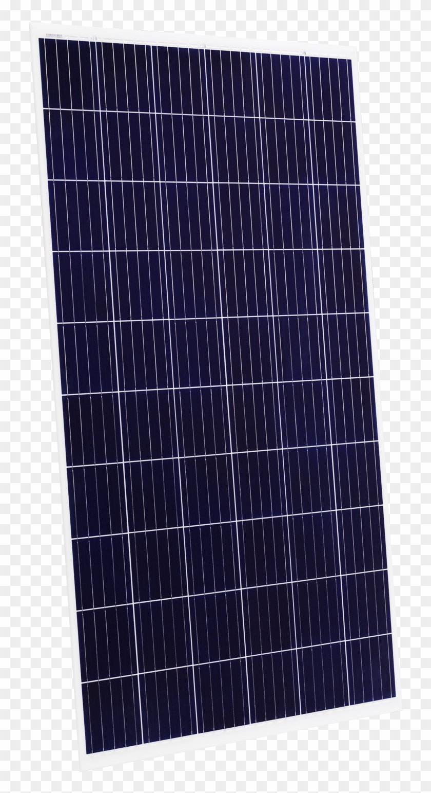 Eagle Dual - Sky Clipart (#147663) - PikPng