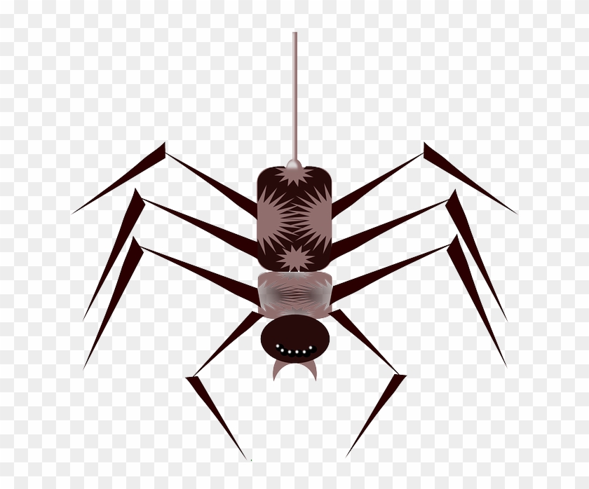 Cartoon, Bugs, Spider, Bug, Free, Web, Insect, Insects - Cartoon Spider ...