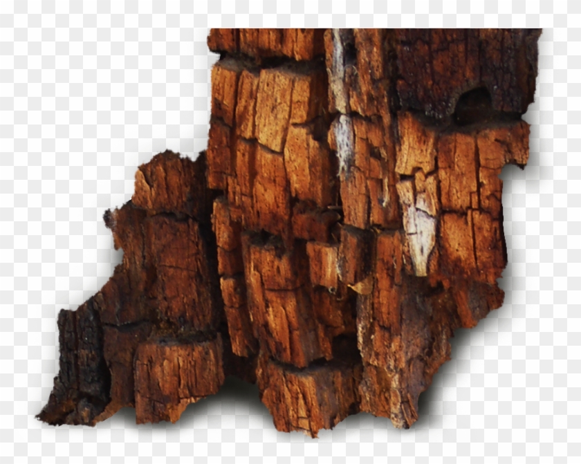 Brown Rot - Wood Decay Png Clipart (#1472107) - PikPng