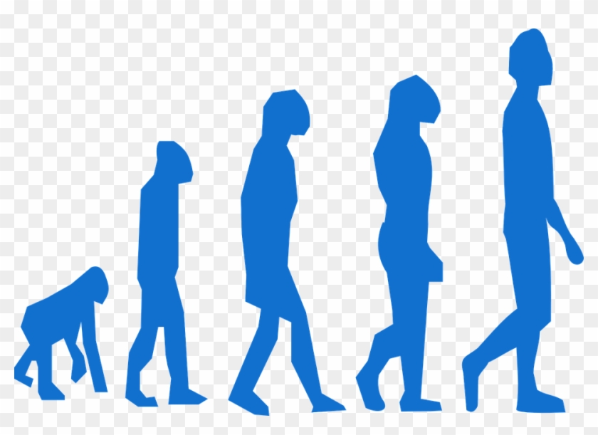 Human Evolution Clipart (#1474546) - PikPng