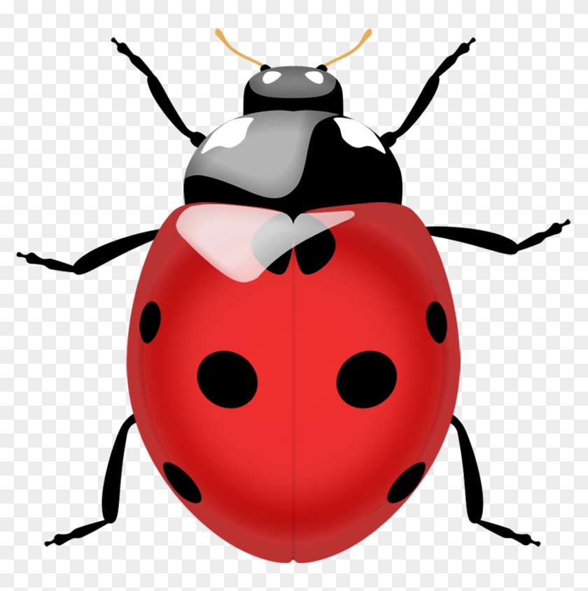 Ladybug Png Clipart (#151378) - PikPng