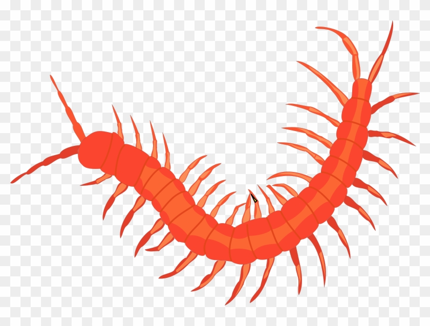 Free Vector Insect - Insect Png Clipart (#1615410) - PikPng