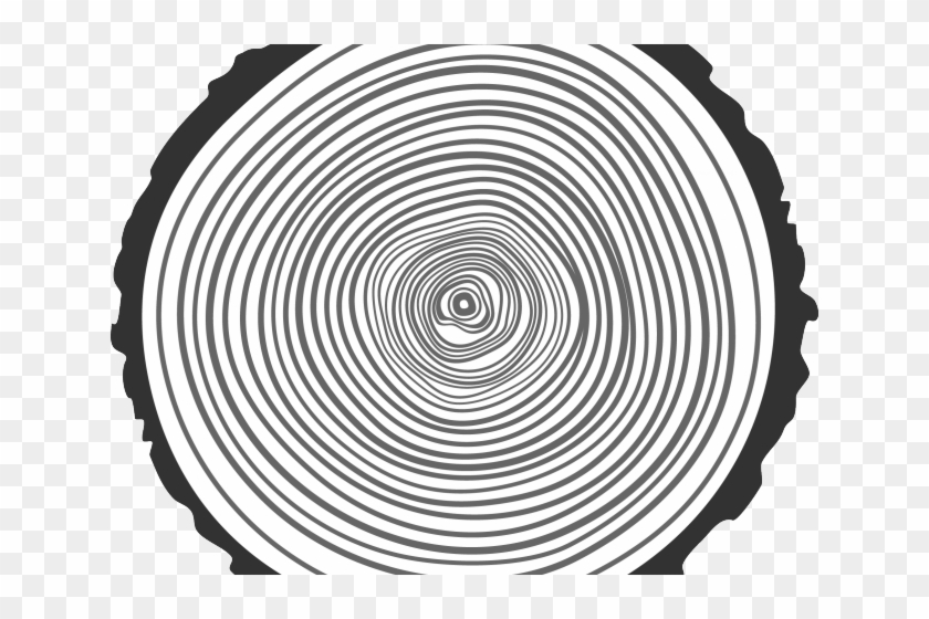 Download Drawn Ring Hand Drawn - Rings Of A Tree Line Art Clipart Png ...